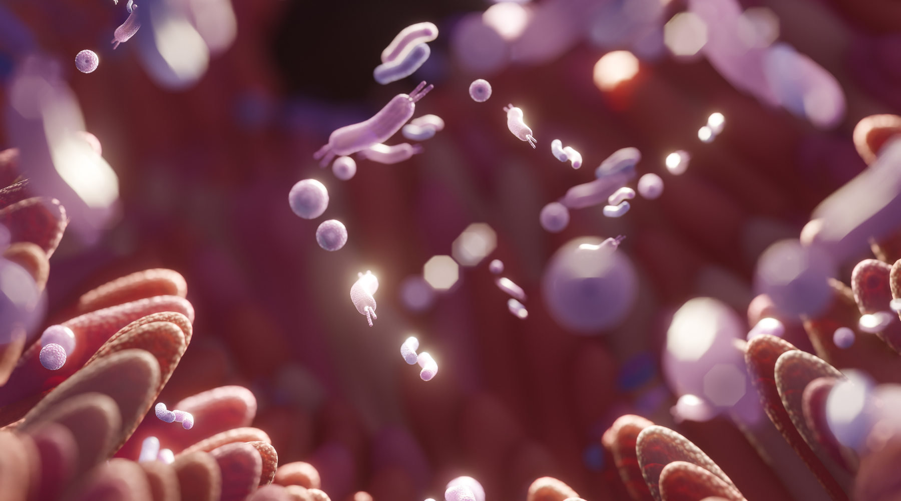 The Gut-Skin Connection: How Your Digestive Health Affects Your Skin ...