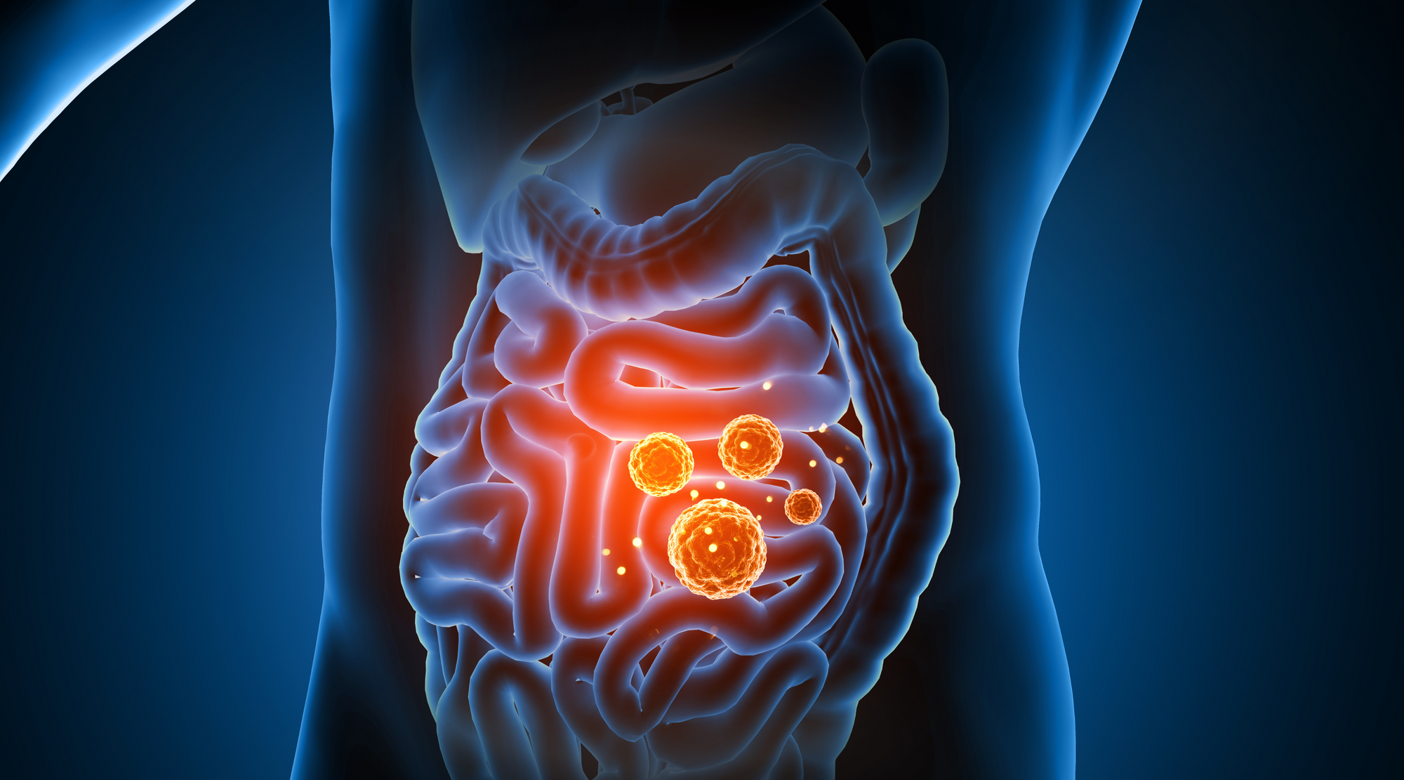 The Gut-Skin Connection: Understanding the Link between Gut Health and ...